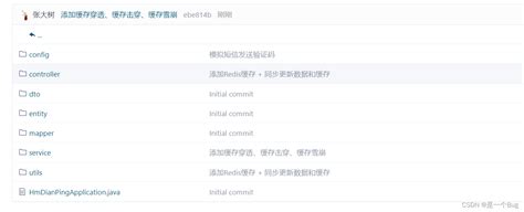 Redis框架（七）：大众点评项目 缓存穿透、缓存击穿、缓存雪崩是一个bug的博客 Csdn博客