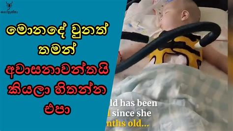 අපි කොච්චර වාසනාවන්තද 😊🥺 Youtube