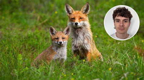 Phd Research Gives Way To Intriguing Theory About Predator Prey Interactions Csu News