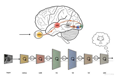 encoder decoder模型框架 51cto博客 规划模型是基于encoder decoder框架