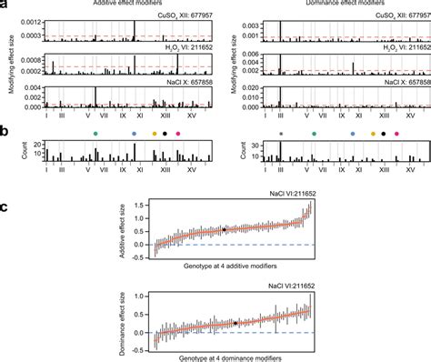 Multiple Modifier Loci Cause Hubs To Exhibit A Range Of Effect Sizes