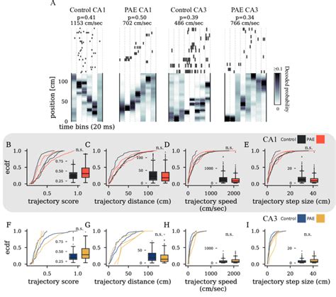 Similar Replay Events Between Groups A Raster Plot Of Spikes During