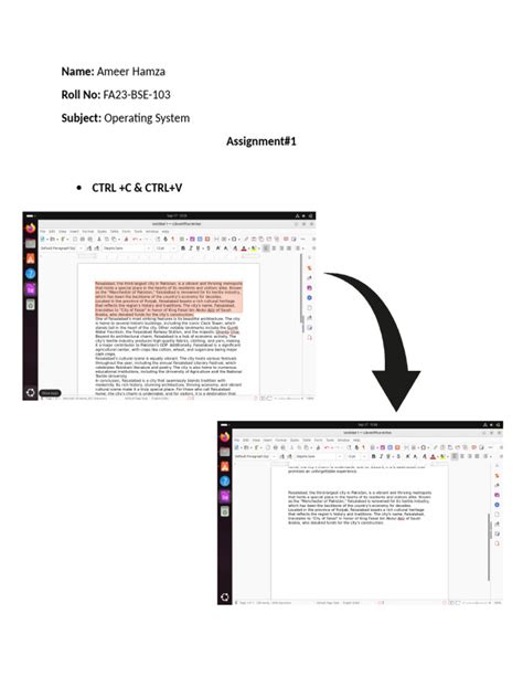 Fa23 Bse 103 Ameer Hamza Os Assignment Pdf