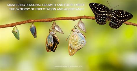 Mastering Personal Growth And Fulfillment The Synergy Of Expectation