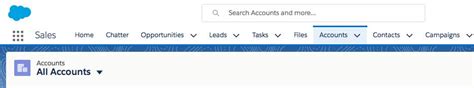 업데이트된 계정 확인 Salesforce Trailhead