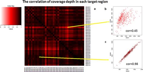 The Correlation Of Coverage Depth In Each Target Region Between 38