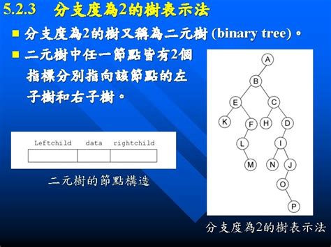 5 1 1 Struct Tree Node 2 Int