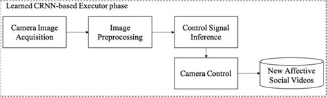 Learned Crnn Based Executor Phase For The New Affective Social Video