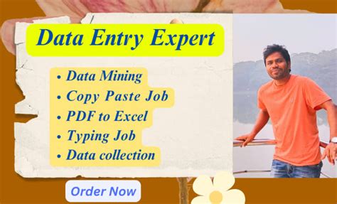 do data entry pdf to excel copy paste typing and data mining by
