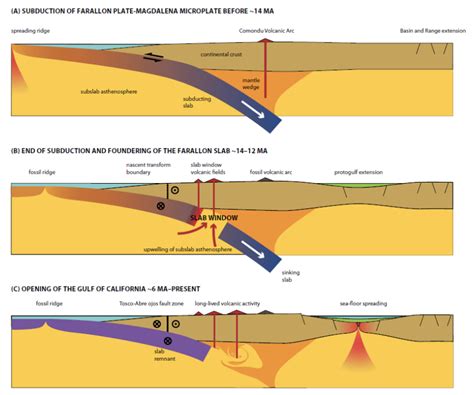Historia Geológica De Las Cuencas Del Golfo De California Schmidt