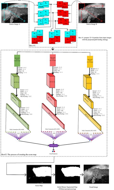 Schematic Diagram Of The Proposed Convolution Neural Network And The Download Scientific