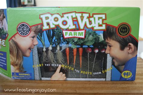 Root Vue Feasting On Joy