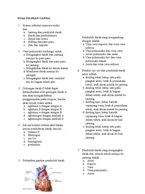 Soal Sistem Peredaran Darah | PDF