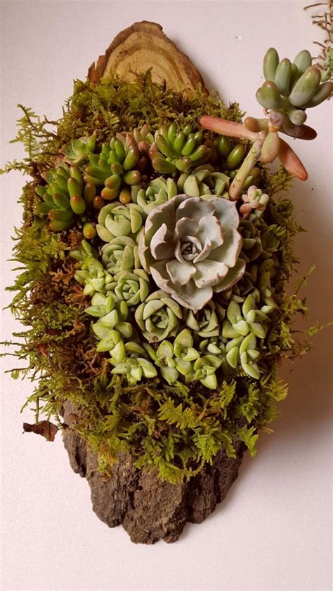 다육공예다육아트 붙는흙으로 수업 네이버 블로그