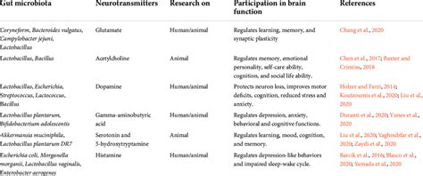Neurotransmitters Metabolites Made By The Intestinal Microbiota And Download Scientific