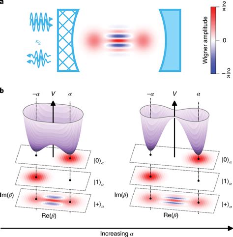 The Cat Qubit A Quantum Information Is Encoded In A Resonator Blue Download Scientific