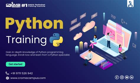 Why Is Python So Popular Among Developers