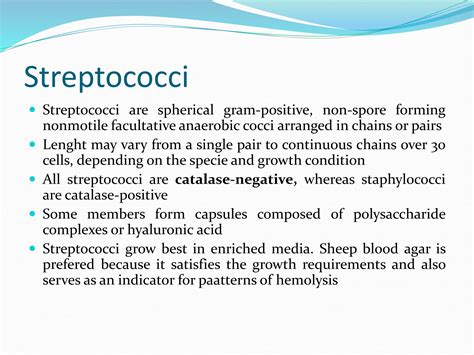 Streptococcus Microbiology Lecture 04 Kmu Ppt