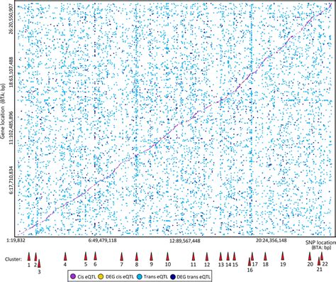 Expression Qtl Mapping For Meat Quality In Longissimus Dorsi Muscle Download Scientific Diagram