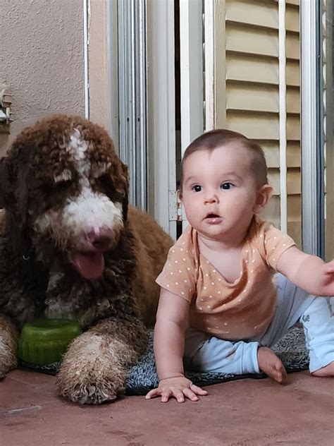 Colby Mcfadden On Linkedin Warning Cuteness Overload