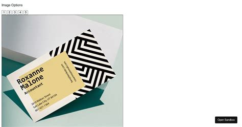 Perspective Transform Examples Codesandbox