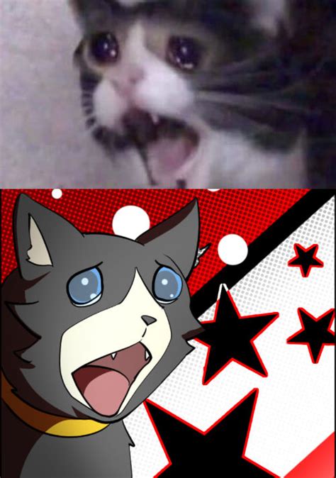 Funny Cat Meme And Drawing By Delightfuldiamond7 On Deviantart