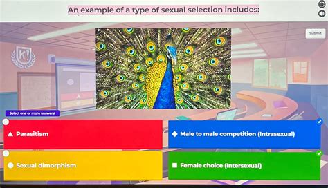 Solved An Example Of A Type Of Sexual Selection Includes Chegg Com