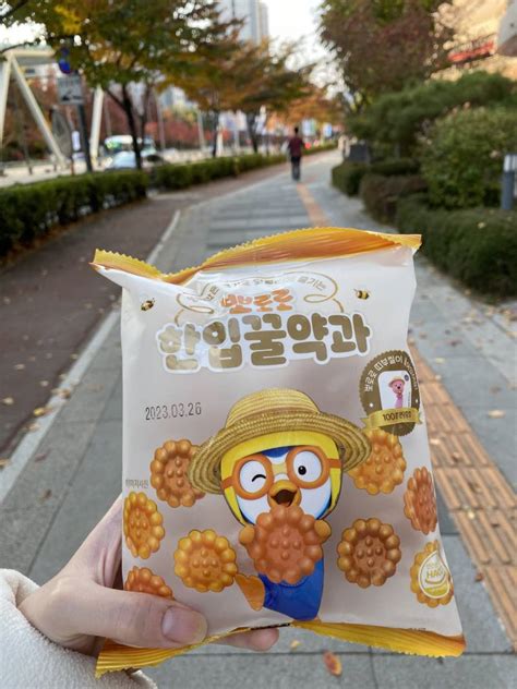 뽀로로약과 후기 맛있음 인스티즈 Instiz 일상 카테고리