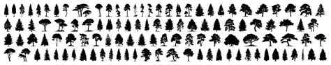 Filled Silhouette Tree Line Drawing Set Side View Set Of Graphics Trees Elements Outline