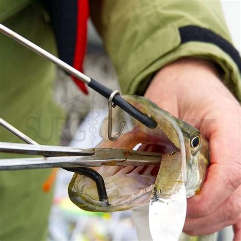 3 Pcs Pean Hemostat Set 6 8 10 Curved Surgical Mart