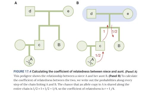 Solved Afigure 17 4 ﻿calculating The Coefficient Of