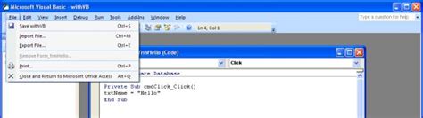 Using Visual Basic Access Vba