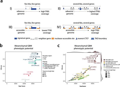 Integrating Chromatin Accessibility And 3d Contact Maps As Input For Download Scientific