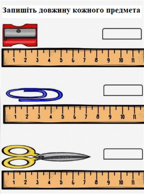 Лінійка Вимірювання довжини предмета 652344 Galina