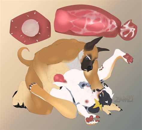 Rule 34 Animal Genitalia Animal Penis Anthro Blue Eyes Blush Bodily