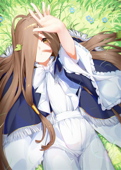 Safebooru 1girl Blue Capelet Blue Flower Bow Brown Eyes Brown Hair
