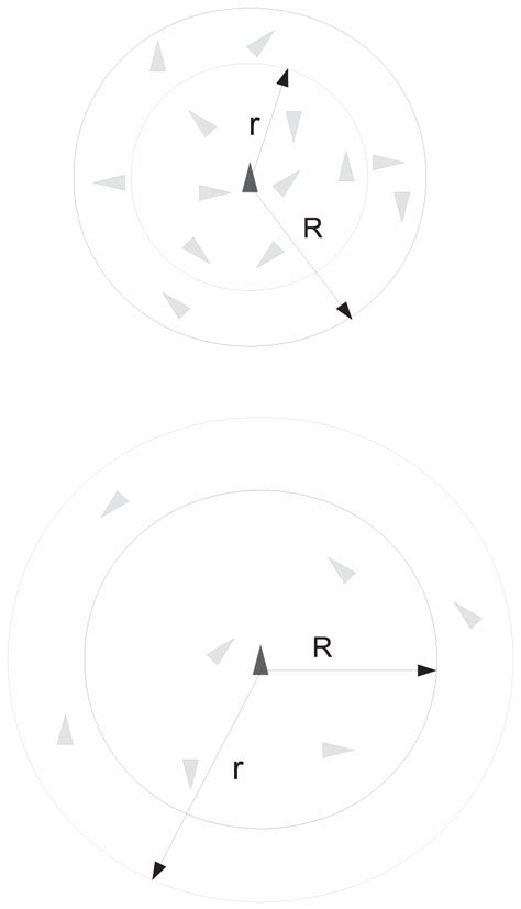Schematics Of Metric Top Vs Topological Bottom Neighborhood Of