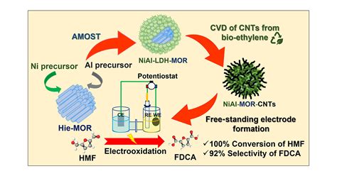Carbon Nanotubes Deposited On Mordenite Zeolitenial Layered Double Hydroxide Composites As