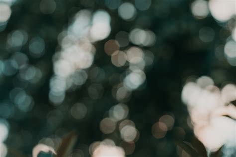 Free: Bokeh Photography - nohat.cc