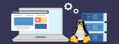 How To Choose The Best Hosting Provider With Linux For Vps Blog