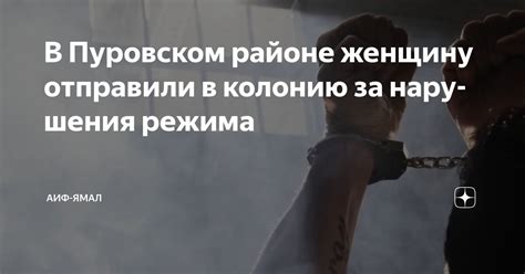 В Пуровском районе женщину отправили в колонию за нарушения режима АиФ Ямал Дзен