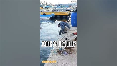 입질이 없을 때는 이렇게 놀기😁 강릉낚시 금진항 낚시 해루질 Youtube