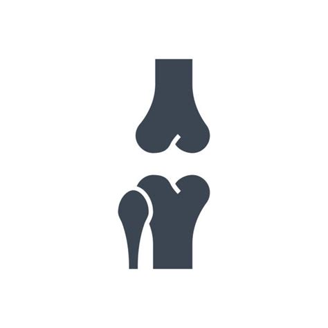 Tibia Illustrations Royalty Free Vector Graphics And Clip Art Istock