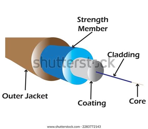Structure Optical Fibers Diagram Isolated On Stock Vector Royalty Free