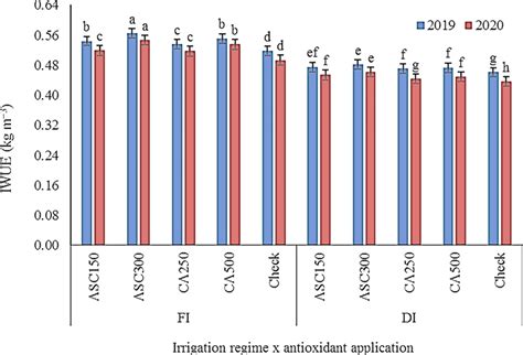 Irrigation Water Use Efficiency Iwue Of Sunflower Response To