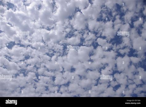 Many Small Little White Grey Clouds Close Together Fill The Blue