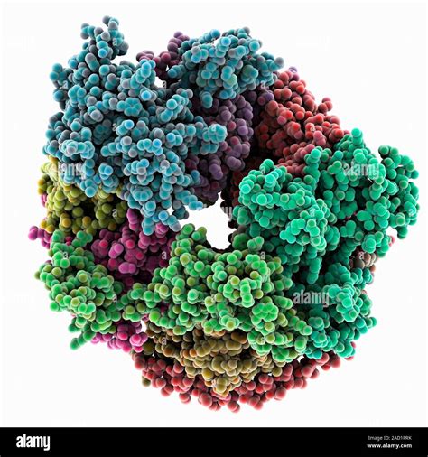 RNA Exosome Complex Molecular Model This Multi Protein Complex Functions To Break Up Strands