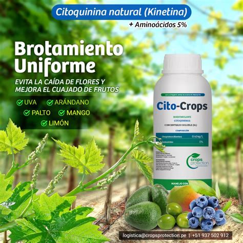 Julio Cesar Santisteban Crespin Posted On Linkedin