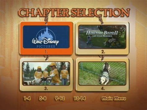 Homeward Bound 2 Quotes Quotesgram