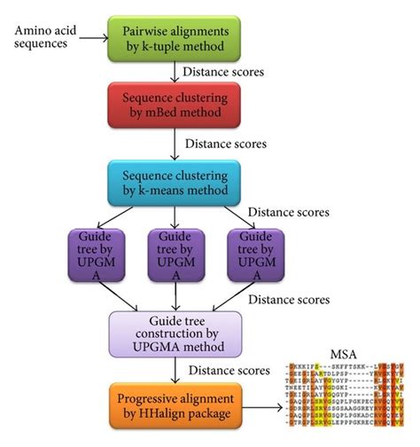 Clustal Omega Algorithm Which Works By Taking An Input Of Amino Acid
